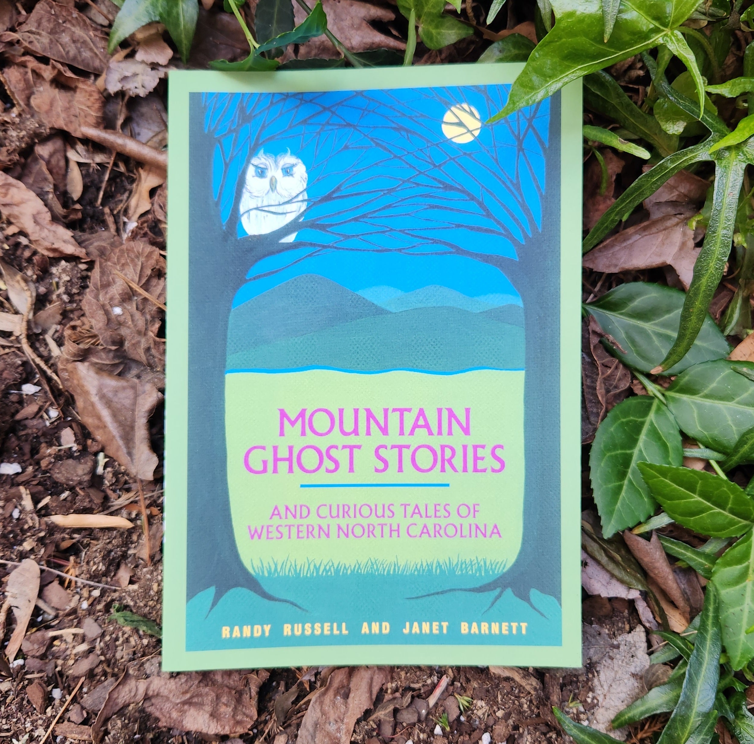 Mountain Ghost Stories and Curious Tales of Western North Carolina ...